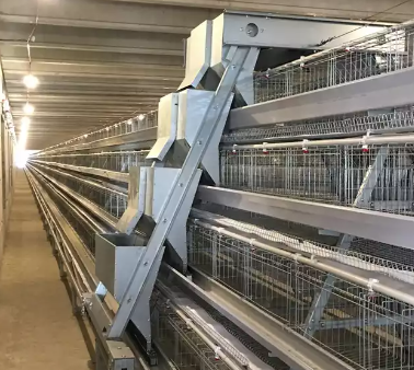 Knowing the different types of cages and their benefits