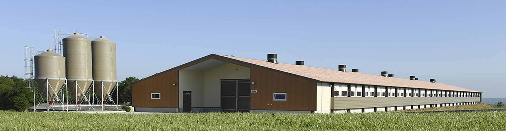 Knowing the different types of cages and their benefits